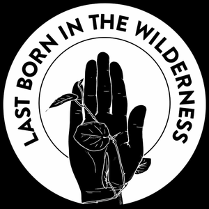 #160 | Don't Believe The Hype: The Media, Branding Psychedelics, & The ...