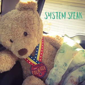 Addiction, Emotions, and the Drama Triangle (Part 2 of 3) from System ...