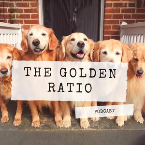 1. Intros & All About Venk from The Golden Ratio Podcast on Hark