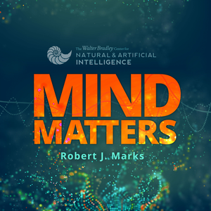 Paul Werbos: Quantum Turing Machines from Mind Matters on Hark