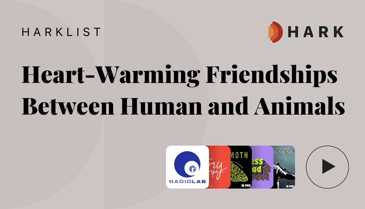 Animal-Human Friendships: A Roundup of Podcast Moments